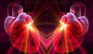 Poezia Iubirii: Initiativa- "Iti ofer o imbratisare"